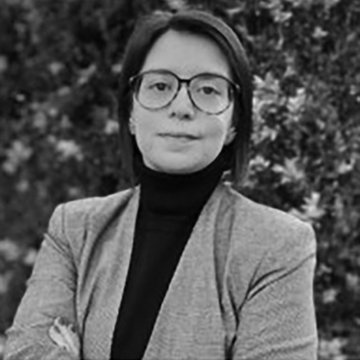 Televisão e Novos Meios